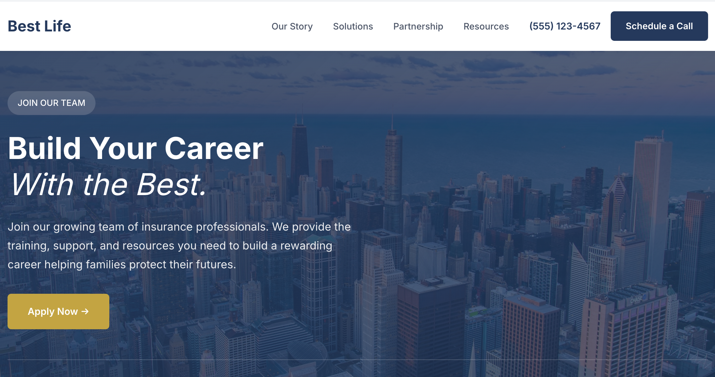 Professional Landing Pages for Insurance Agents